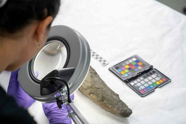Massive 200,000-Year-Old Hand Axes Rewrite Saudi Arabia History ...