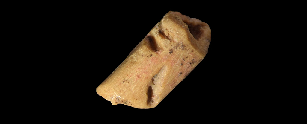 Ancient Bone / Oldest Known Bead in The Americas - Ecstatic Trance ...